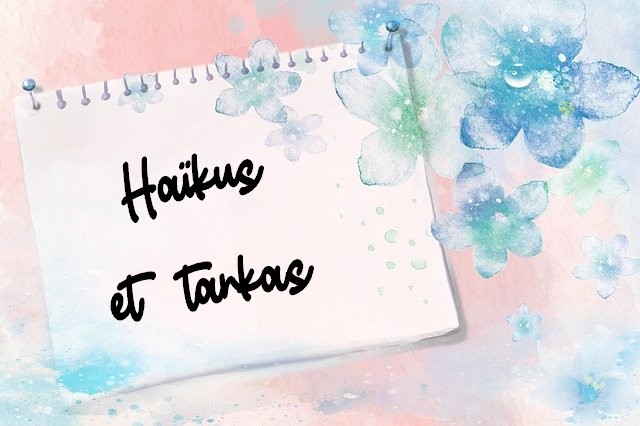 Le Monde de Poetika | Tous les poèmes : haïkus et tankas